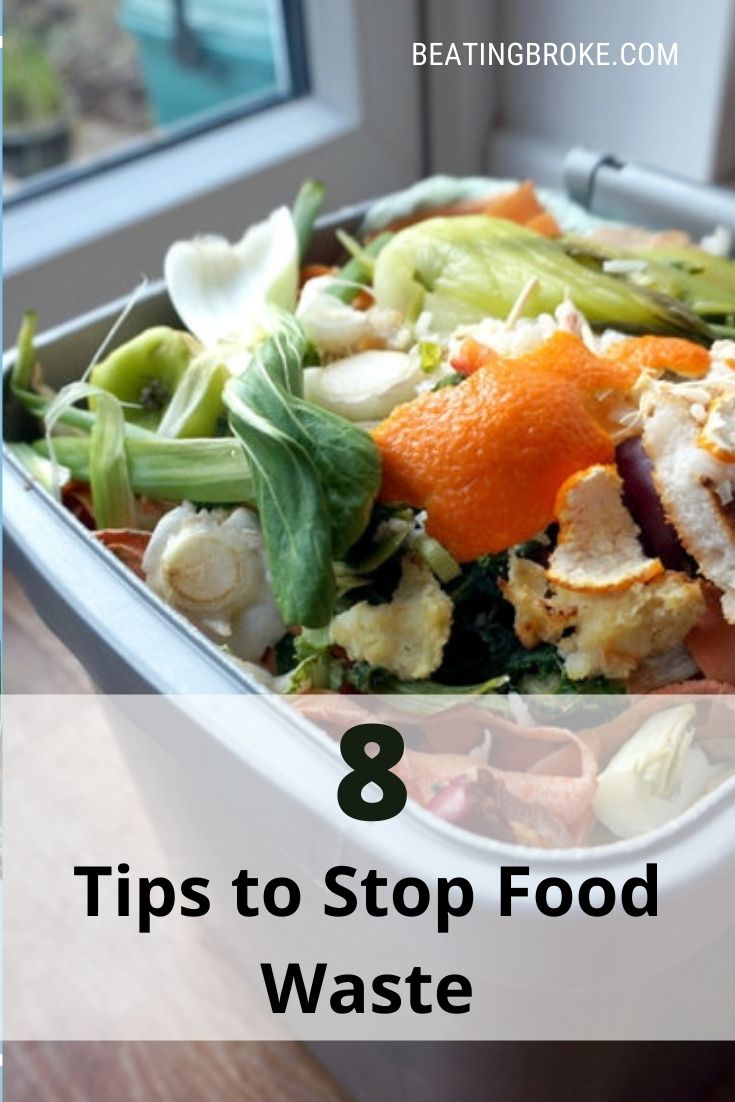 8 Tips to Stop Food Waste - My Blog